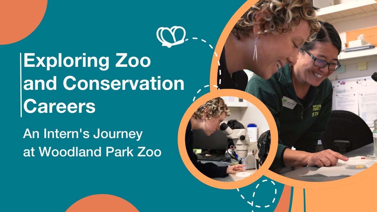Exploring Zoo and Conservation Career Paths: An Intern's Journey at ...