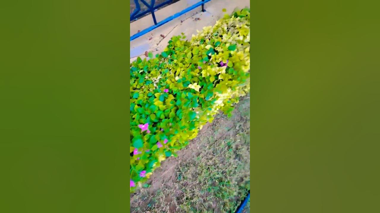 Evening time velog like & subscribe official - YouTube