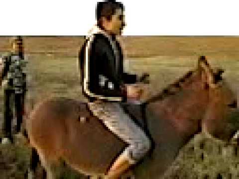 calaretu fara cap cetate dolj - YouTube