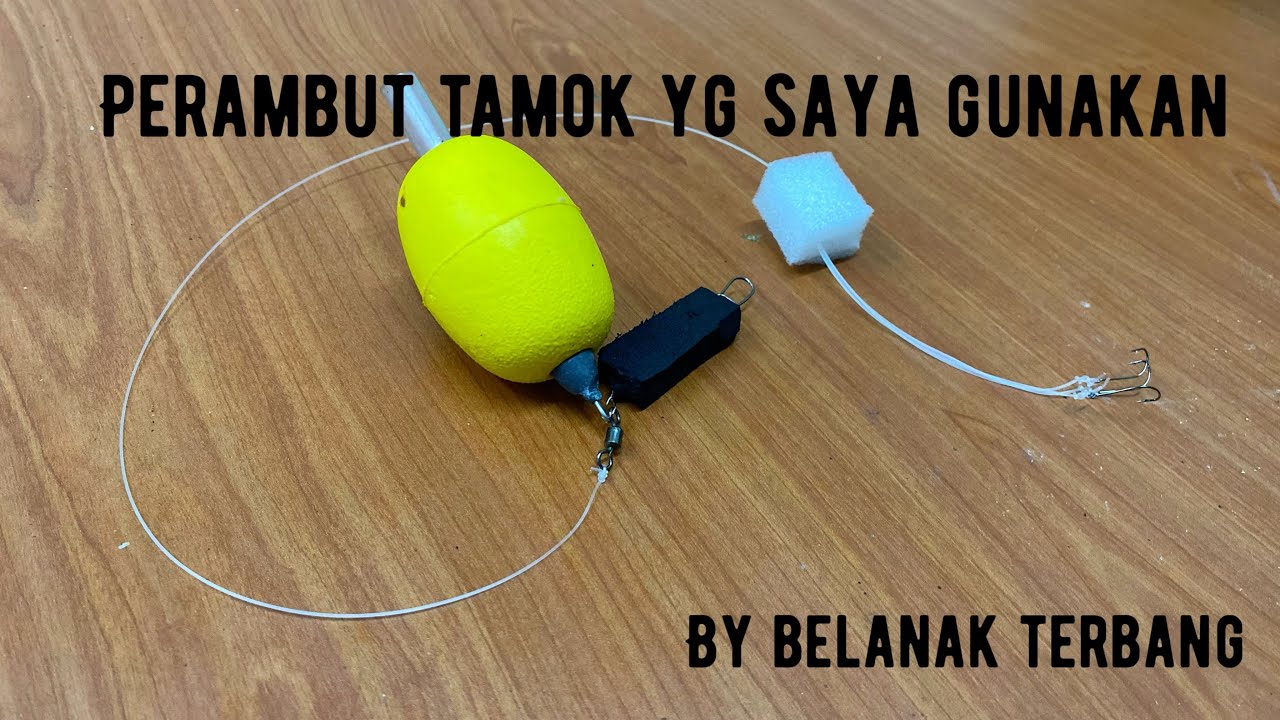 Tutorial Perambut Ikan Tamok Saya #tamok - YouTube