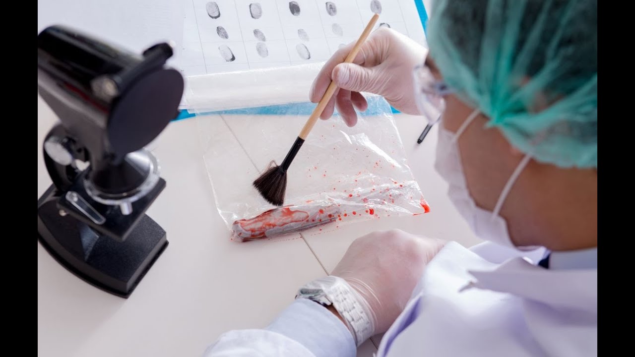 Environmental Storage Considerations for Forensic Evidence - YouTube