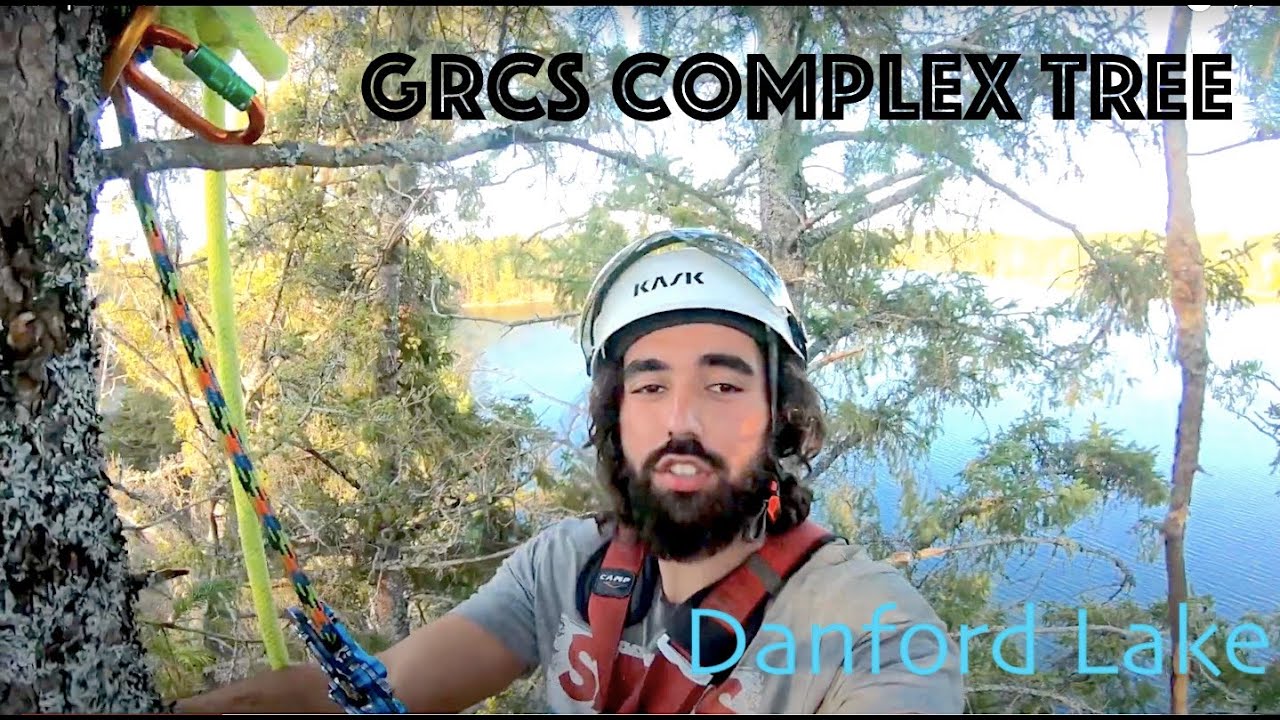 Complex Tree - YouTube