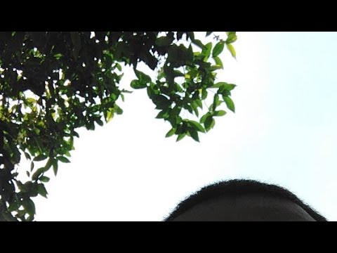 The Forest Zumba Party - YouTube