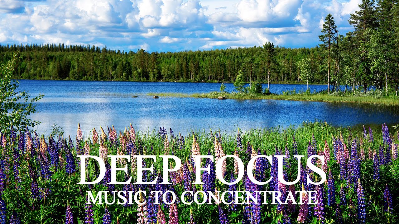 Beautiful Morning Relaxing - Beautiful Nature to Calm Your Mind and ...