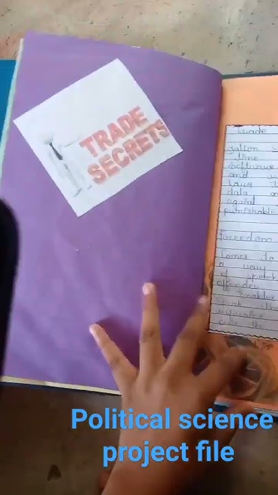 political science project file on the topic cyber crime - YouTube