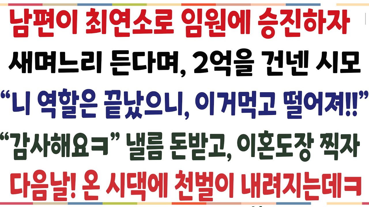 반전신청사연남편이 최연소로 승진한 어느날 새며느리 든다며 2억을 거넨 시모 니 역할은 여기까지다 이거먹고 이혼해 낼름 돈받고 이혼 도자찍자 신청사연 사이다썰 사연