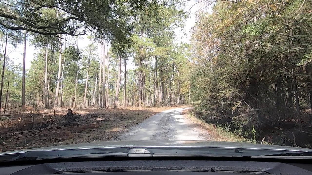 Big Branch Marsh National Wildlife Refuge Boat Launch 2/2 - YouTube