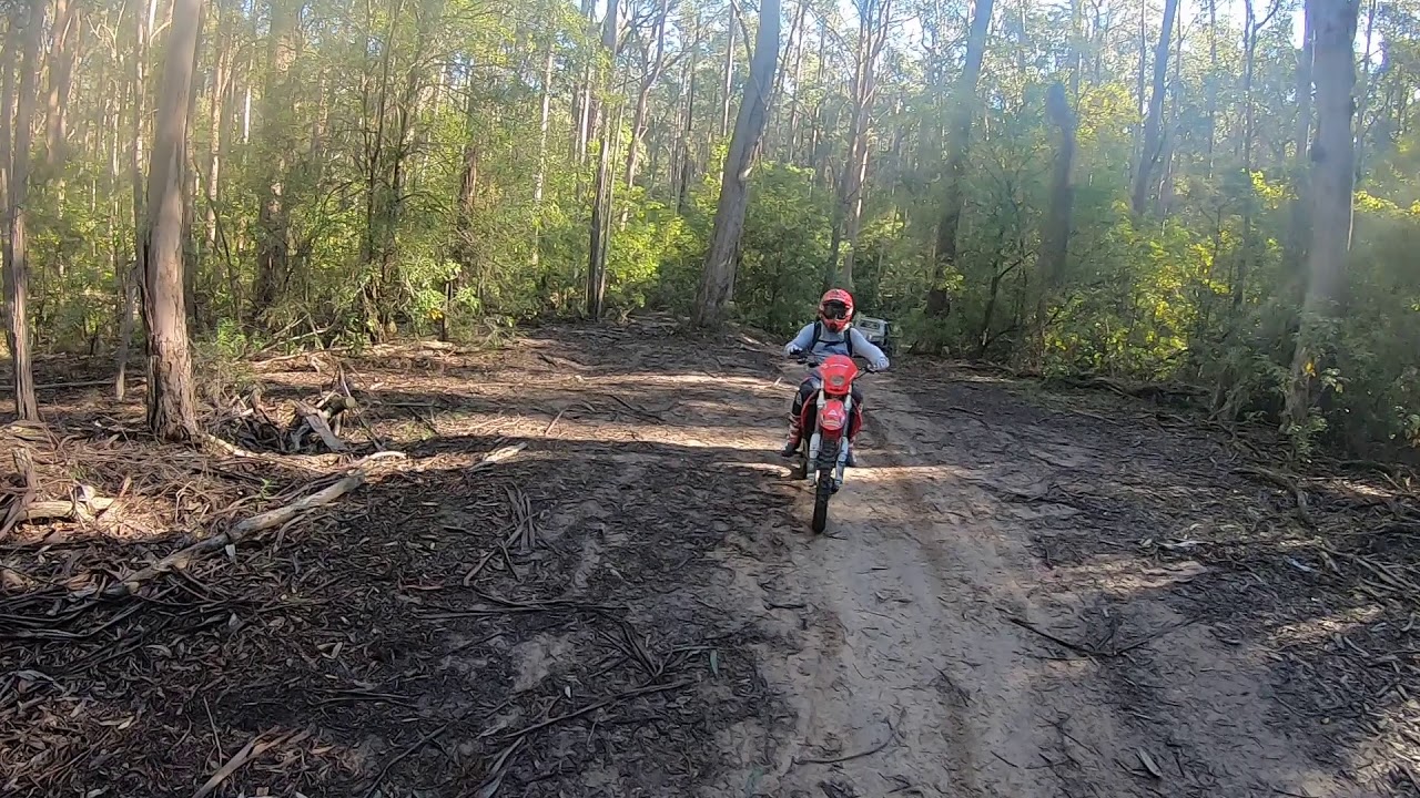 Alberton west state forest 03 - YouTube