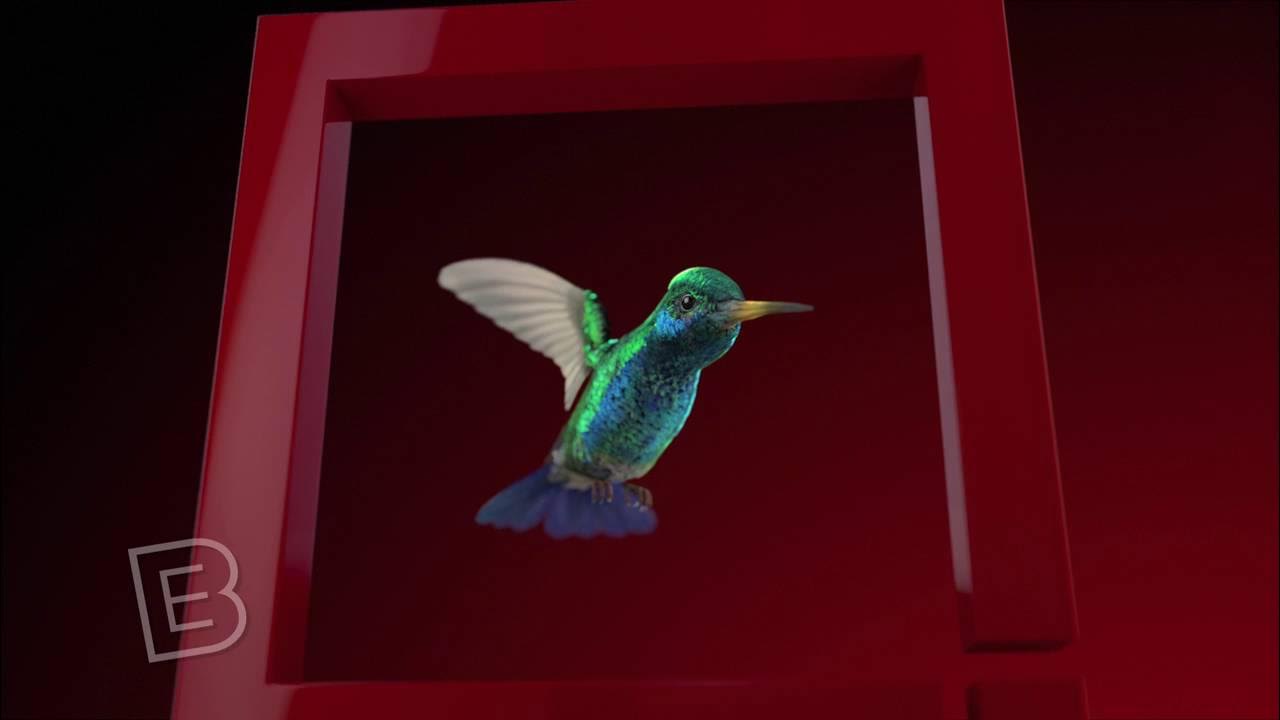 BE - CCTV4 2016 REBRAND_HUMMING BIRD ID - YouTube
