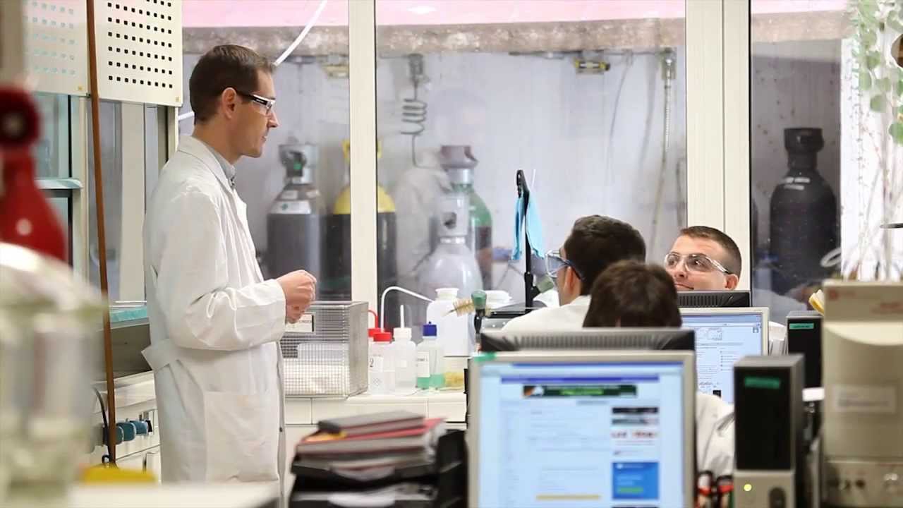 IUCT, entrevista con Xavier Castells - YouTube