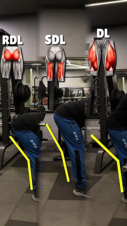 RDL vs SDL vs DL #music #fitness #motivation #gym #sports #backpain #neckpain #workout - YouTube