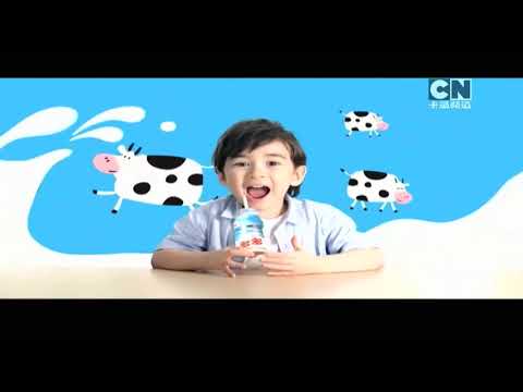 Cartoon Network Taiwan Continuity 26 December 2020 - YouTube