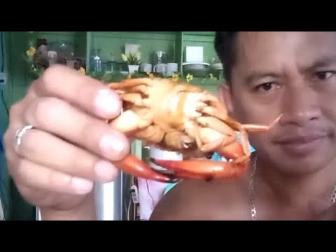 breakfast mga parekoy w/ulam crab in bohol kasag or maniit - YouTube