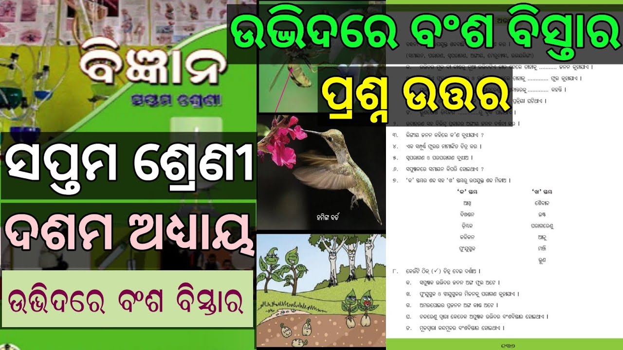 Class 7 Science Chapter 10 Question Answer Odia Medium class-7-science-chapter-10-question-answer-odia-medium