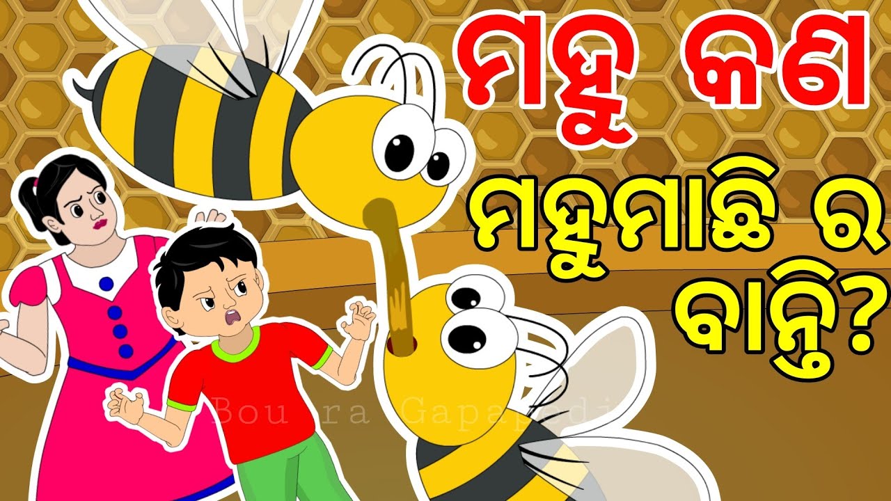 BUDHIA BUDHABAR-25 | ମହୁମାଛି କିପରି ମହୁ ତିଆରି କରେ?| How BEEs make Honey ...
