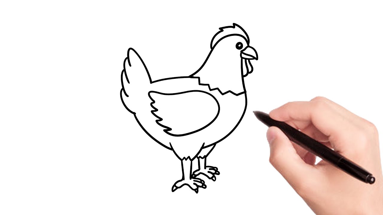 How to Draw a CHICKEN Easy and Simple - YouTube
