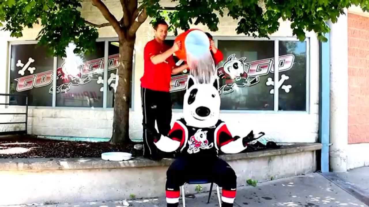 Niagara ICEDOGS Mascot- Bones -Does the ALS Ice Bucket Challenge - YouTube