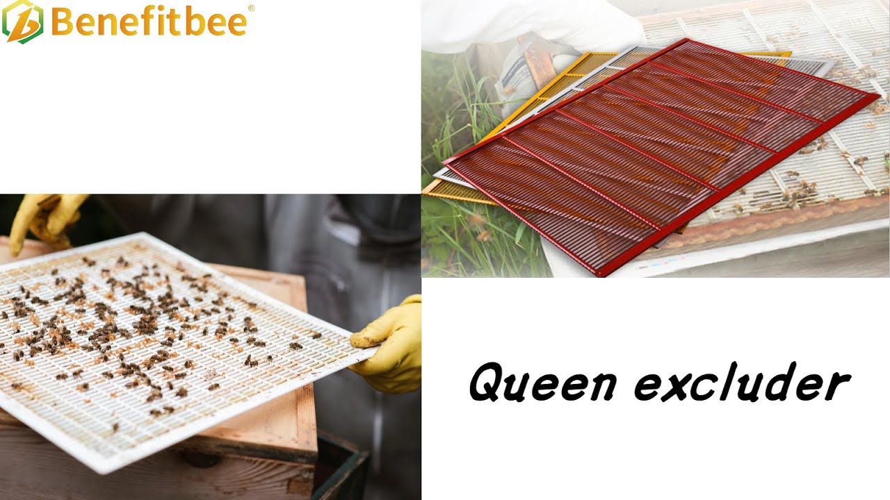 Queen excluder | Essential beekeeping tools - YouTube