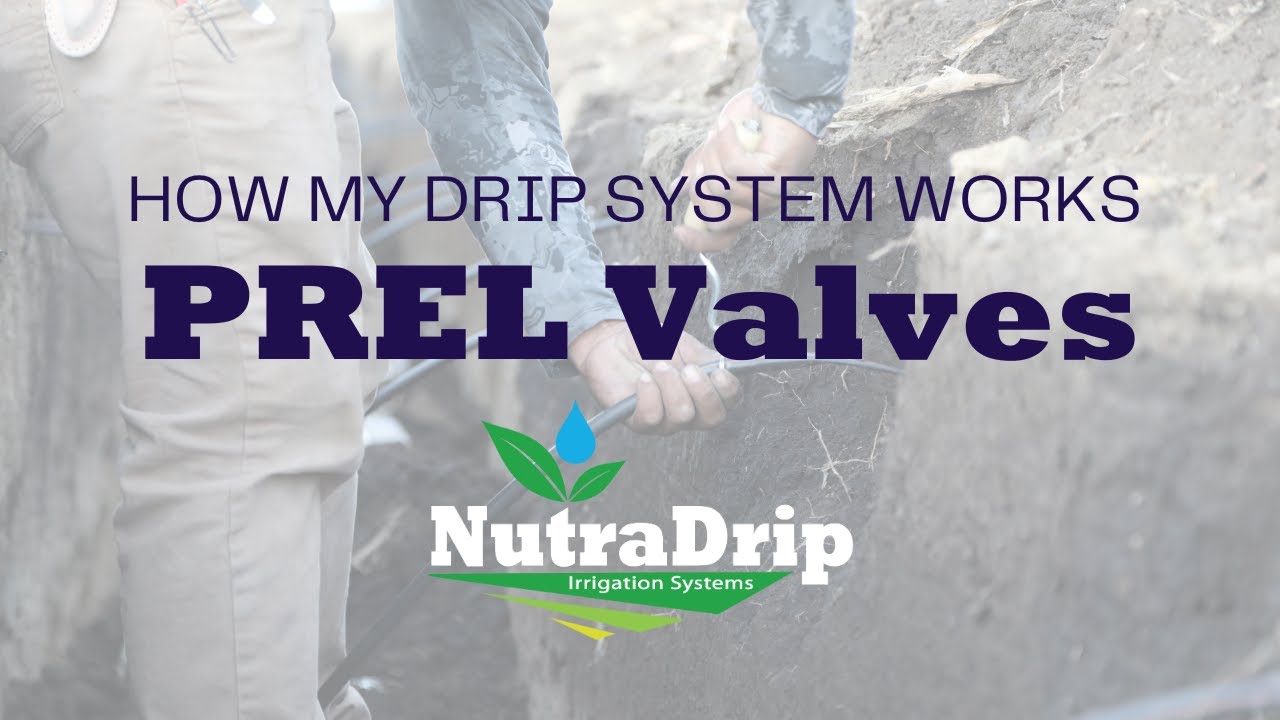 PREL Valves - YouTube