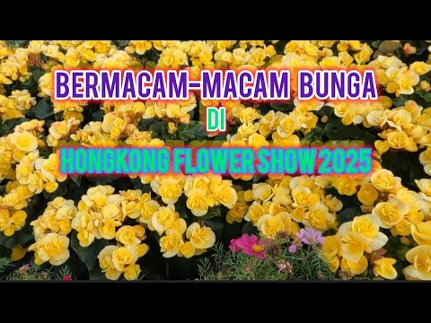 Bermacam Macam Bunga Di Hongkong flower show 2025 #explorehk - YouTube