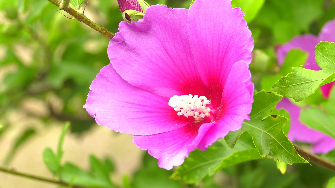 4K영상 게티 제출용 10초클립 모음 38min18sec 윤주일 lorday - YouTube