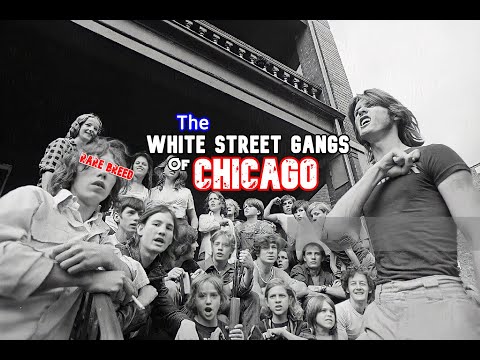 The White Street Gangs of Chicago: Past, Present and.... Future?