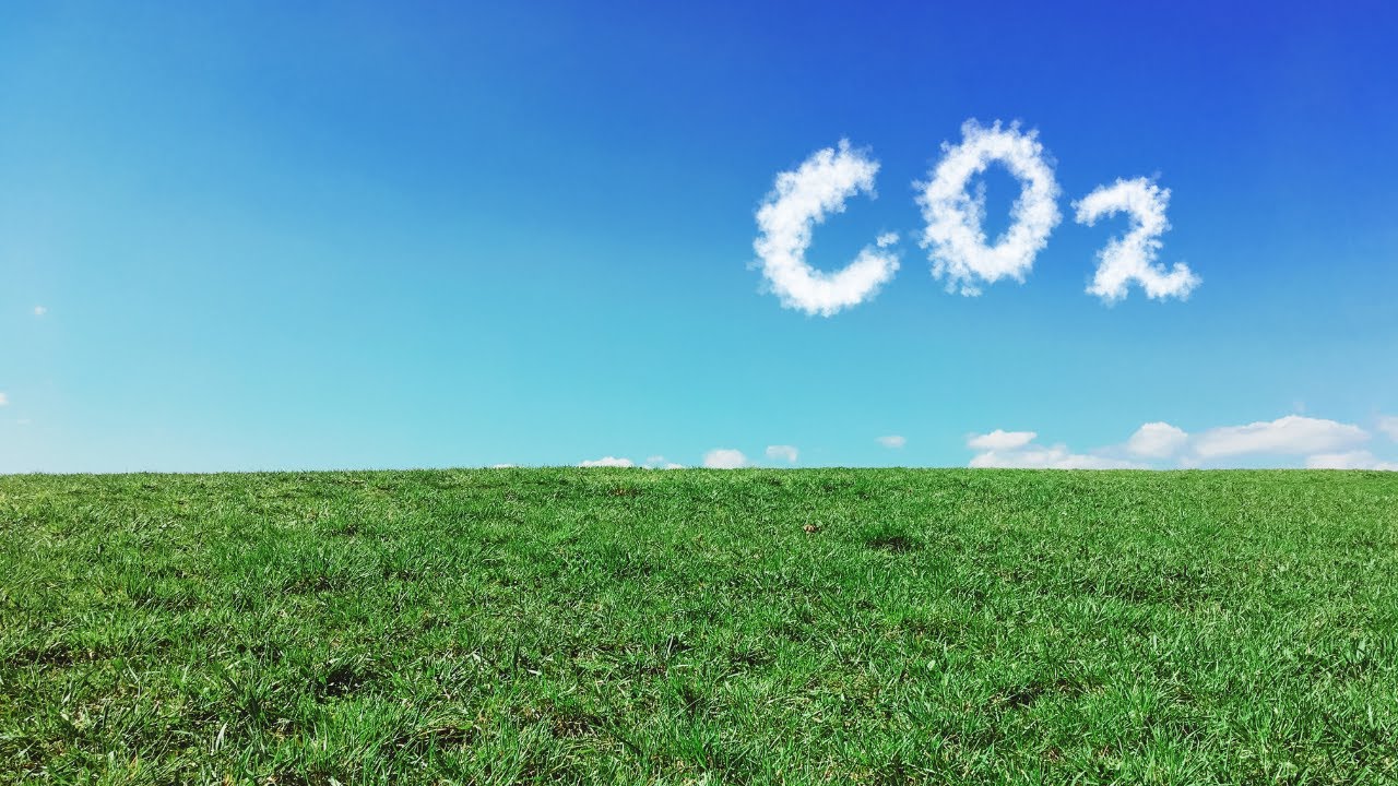 Czy Polska zawetuje Fit for 55? - Marek Król, Eliza Olczyk | Po ...