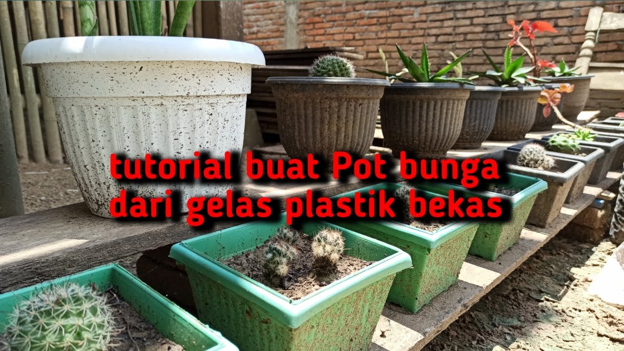 Cara membuat pot bunga dari gelas plastik - YouTube