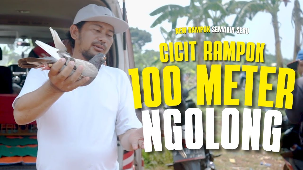 CICIT RAMPOK 100 METER NGOLONG - NEW RAMPOK - YouTube