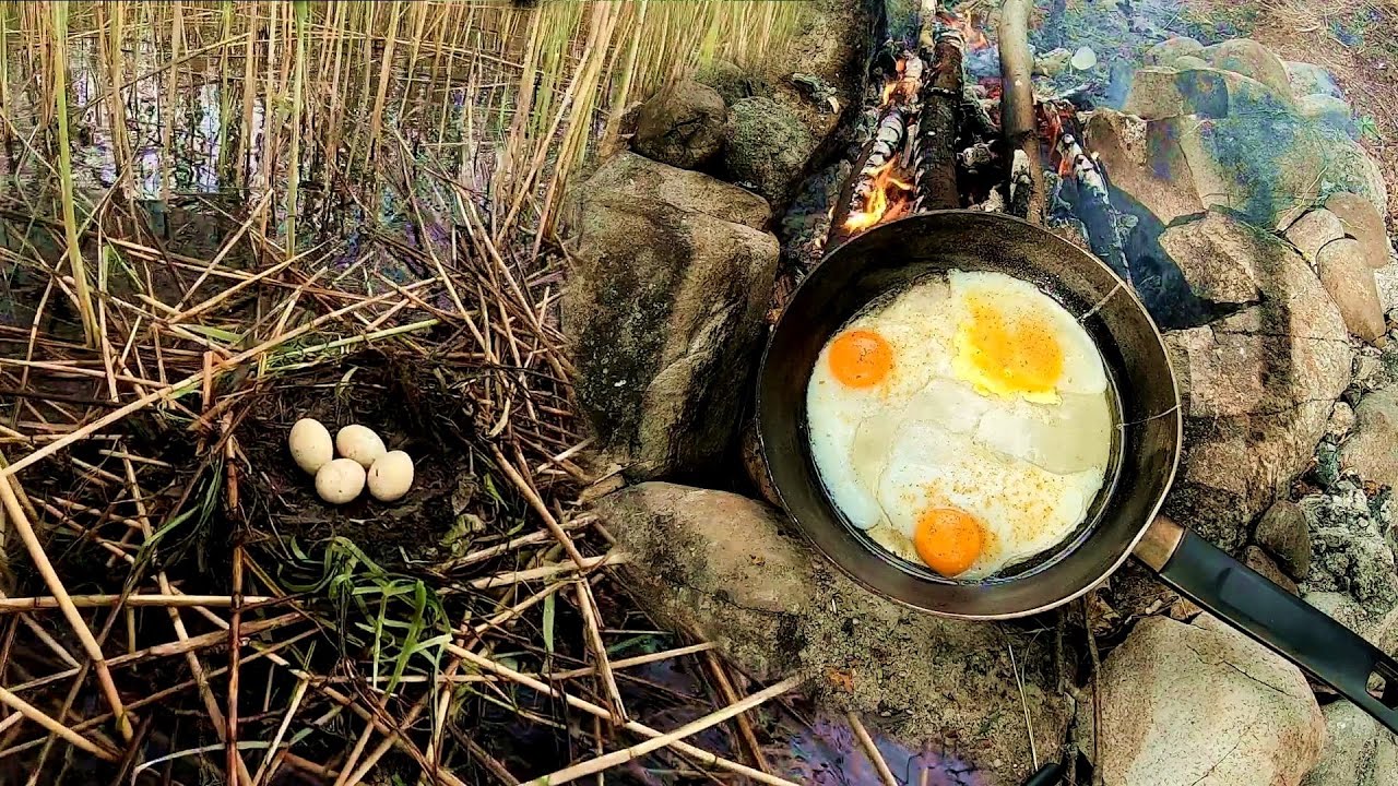 24 hours outdoor. Food is all around us. - YouTube