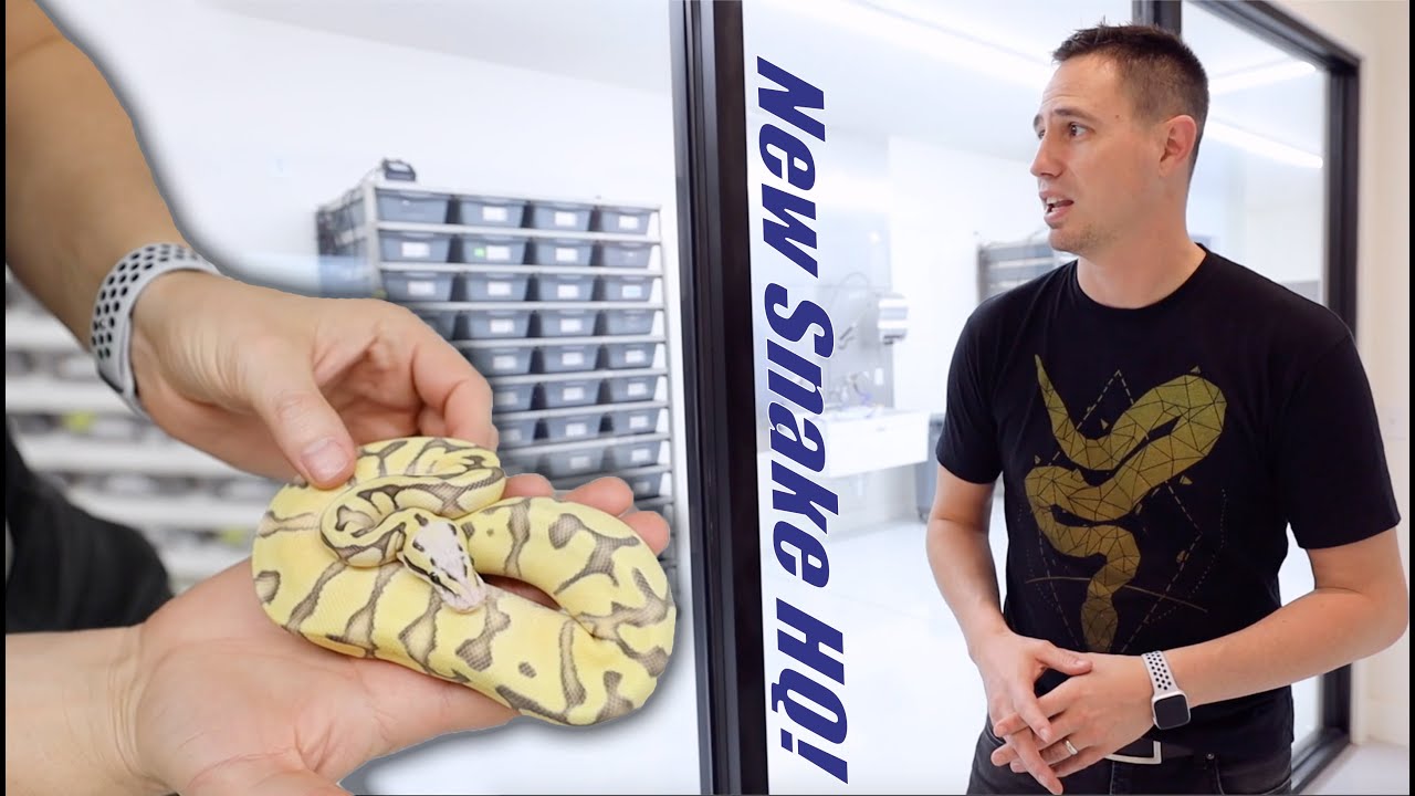 Crazy New Snake Facility! - 18 years of work doing what I love! Full ...