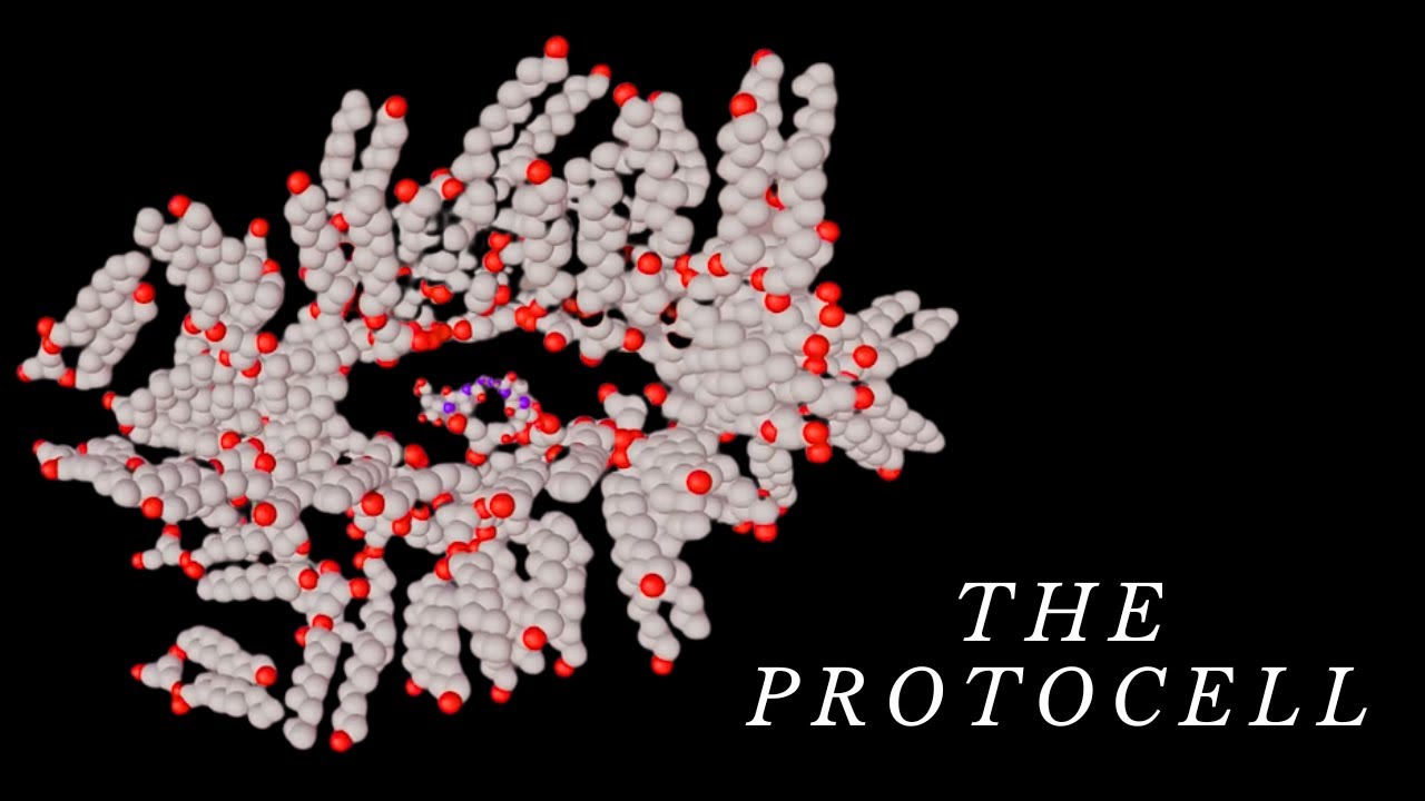 3D Model of the Origin of Life (The Protocell) - YouTube