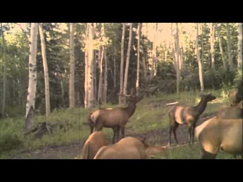 Range Valley Ranch - YouTube