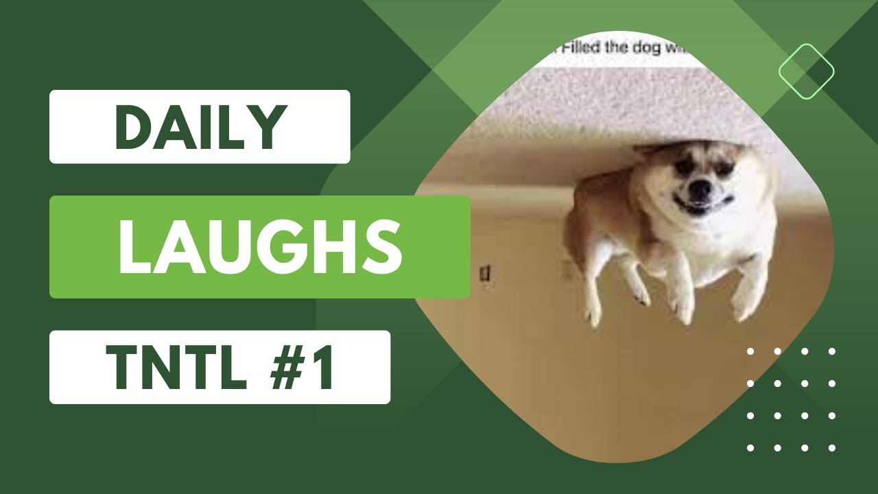 Daily Laughs Try Not To Laugh 😂 #1 - YouTube