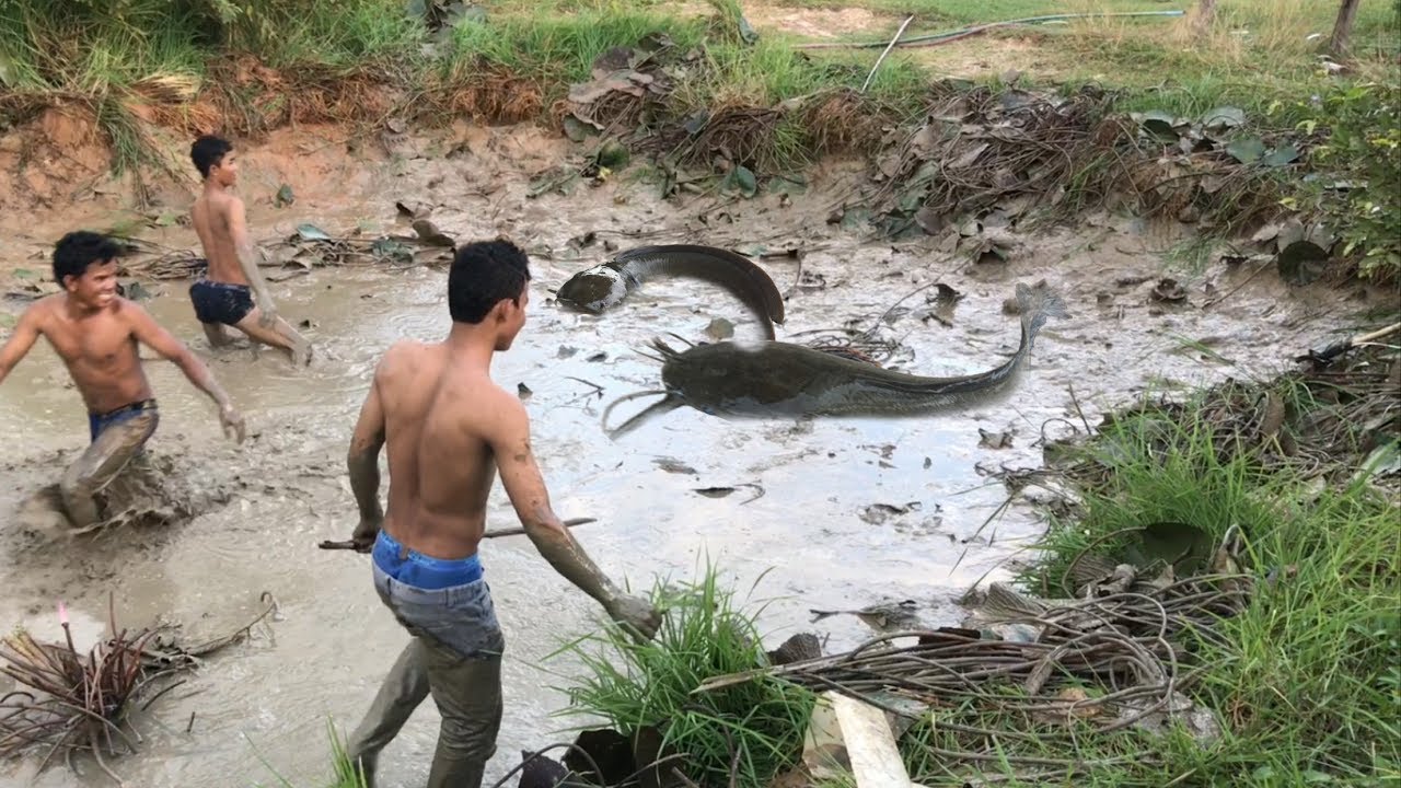 Khmer fishing | New video fishing | Real life Traditional fishing | How ...