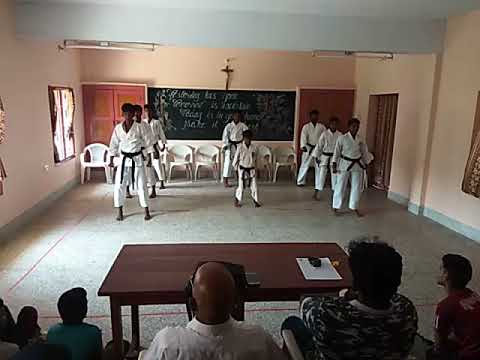 GOJU-RYU KATA Saifa by NIHON GOJU RYU TEAM - YouTube