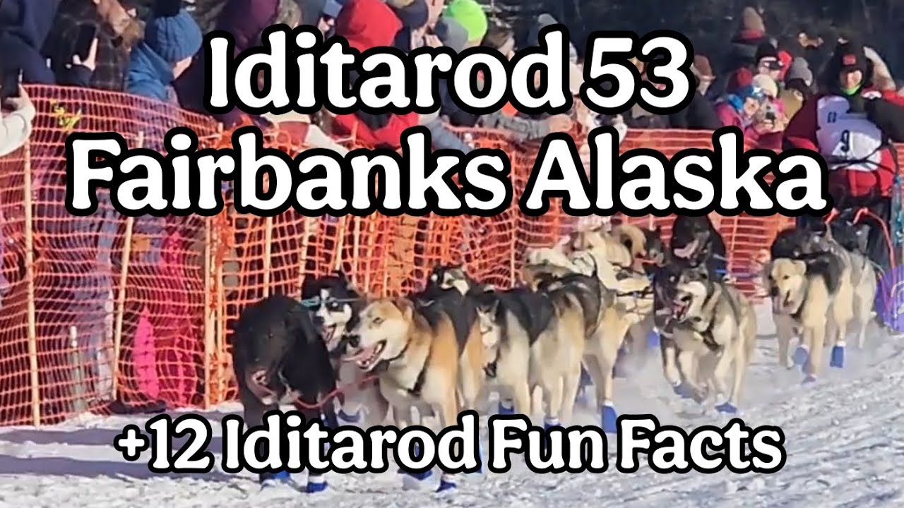Iditarod 53 & fun facts along the way #iditarod #race #dog #2025 # ...