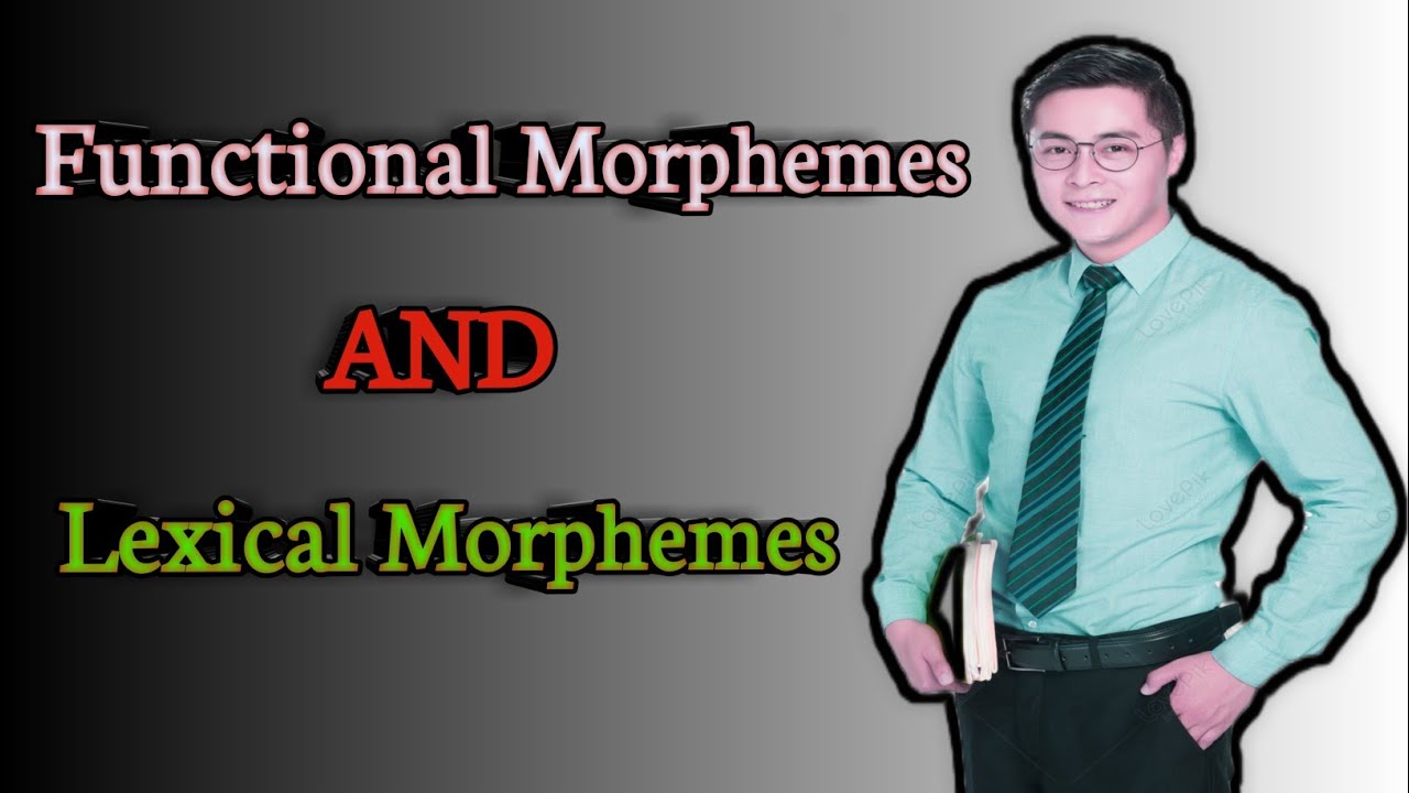 Lexical Morphology| Functional Morphology| Types of Free Morphemes ...