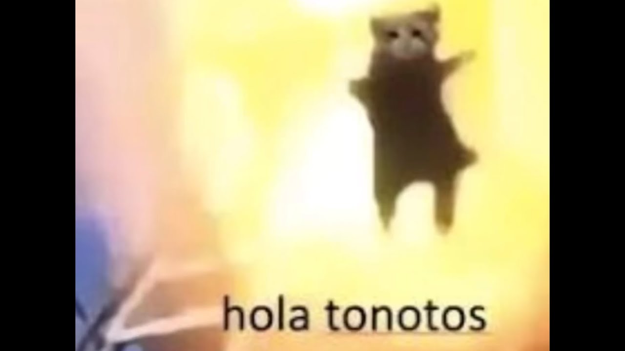 Hola tonotos - YouTube