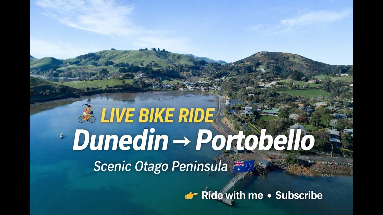 LIVE Bike Ride: Dunedin to Portobello | Scenic Otago Peninsula NZ - YouTube