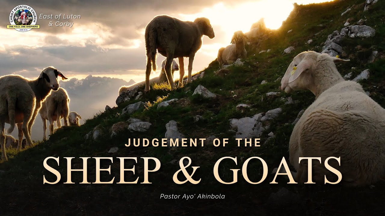Bible Study: Judgement of the Sheep and Goat & Marriage Supper of the ...