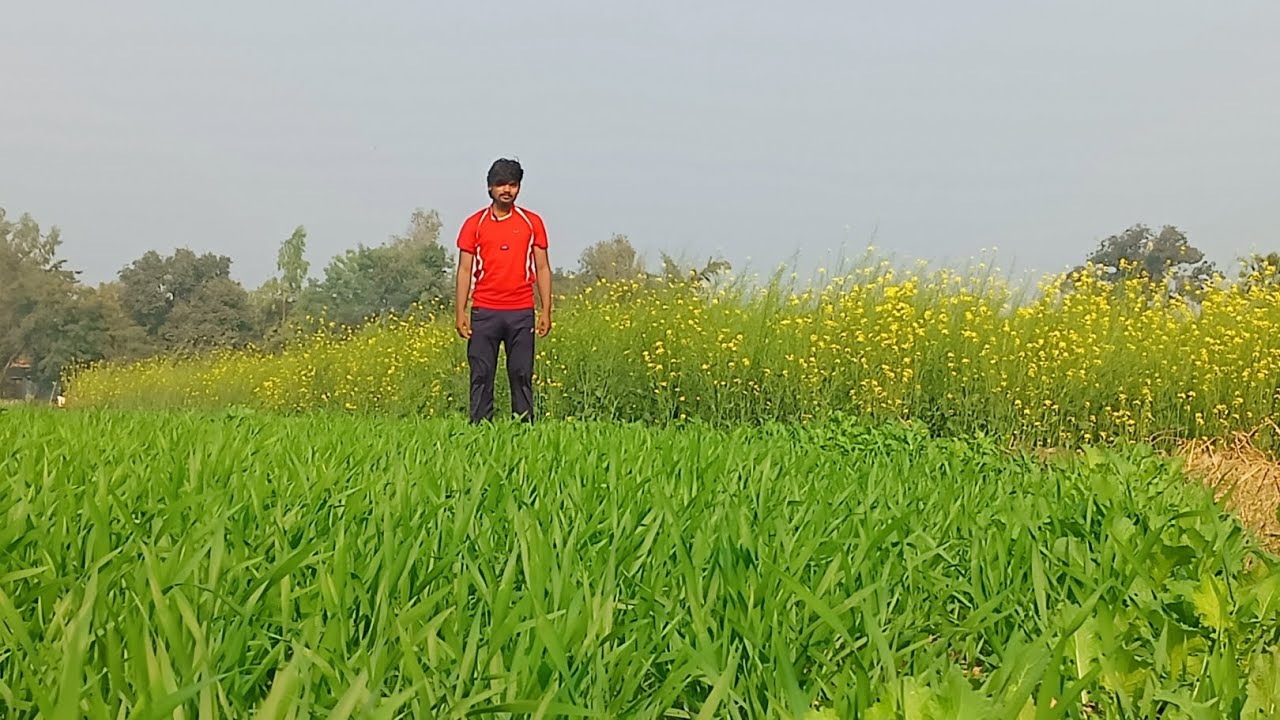 Mi fast video 🙏 please 🥺!Varil क्रिस || 2026मे bilog on YouTube and ...