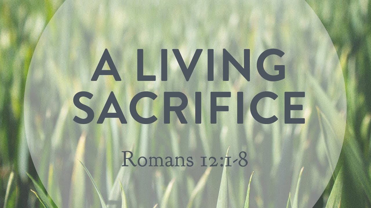 A Living Sacrifice (Sermon for 10/23/2016) - YouTube