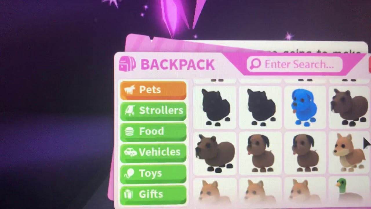 Making a neon brown bear! In adopt me roblox!! - YouTube