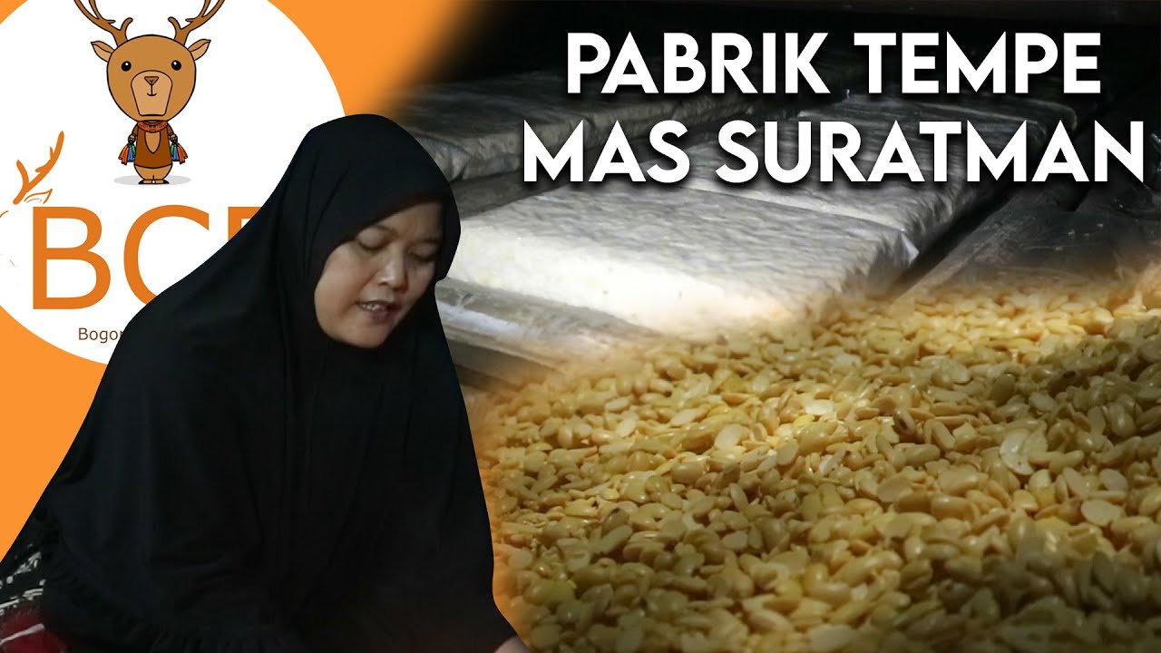 Pembuatan Tempe Tradisional di Bogor ! | Pabrik Tempe Mas Suratman ...