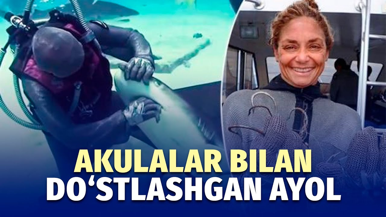 Akulalarni qutqarayotgan ayol - YouTube