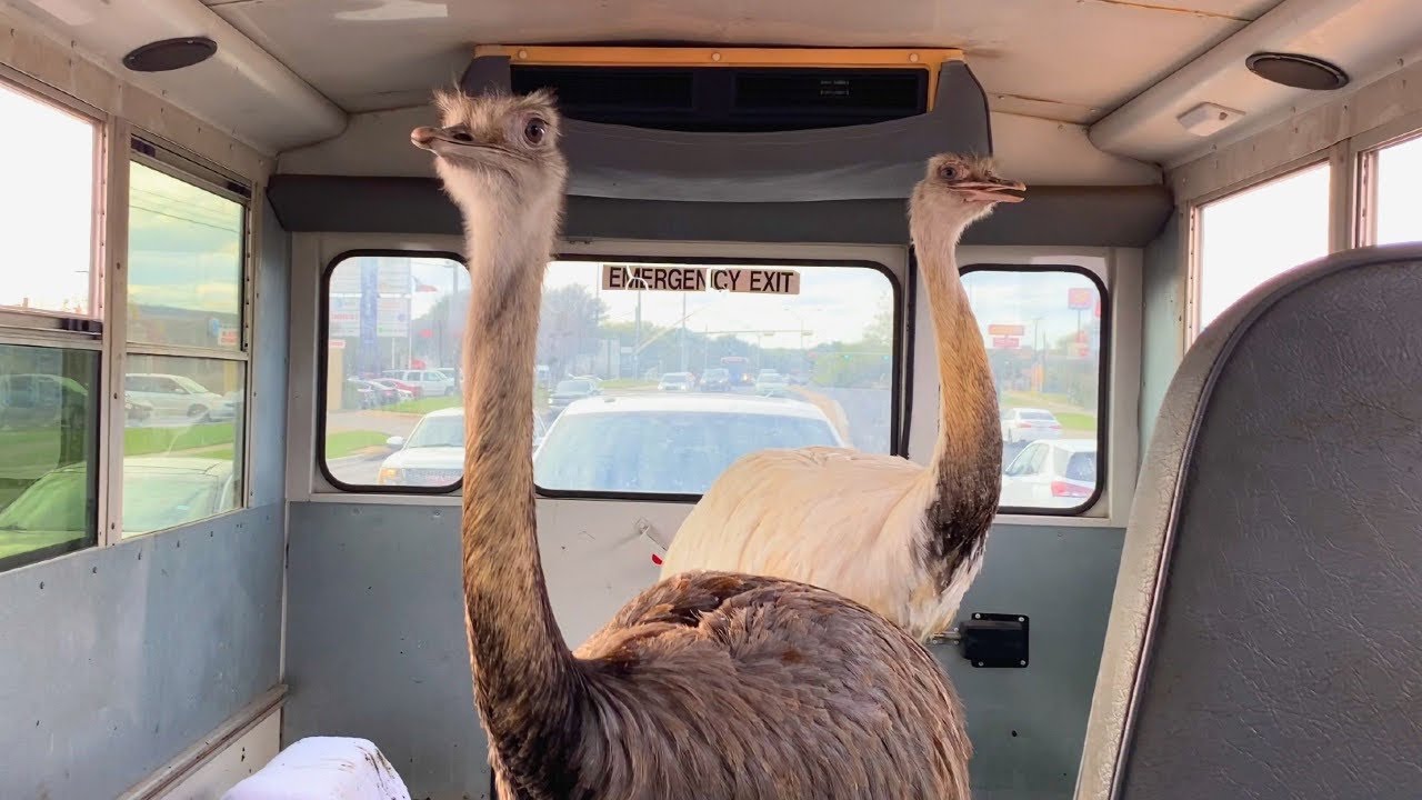 Kevin Moves to Waco (Season Finale) - YouTube