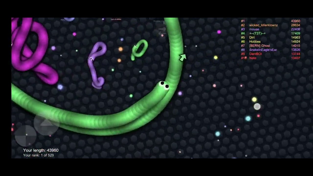 Slither Snake Time lapse, Largest snake score - YouTube