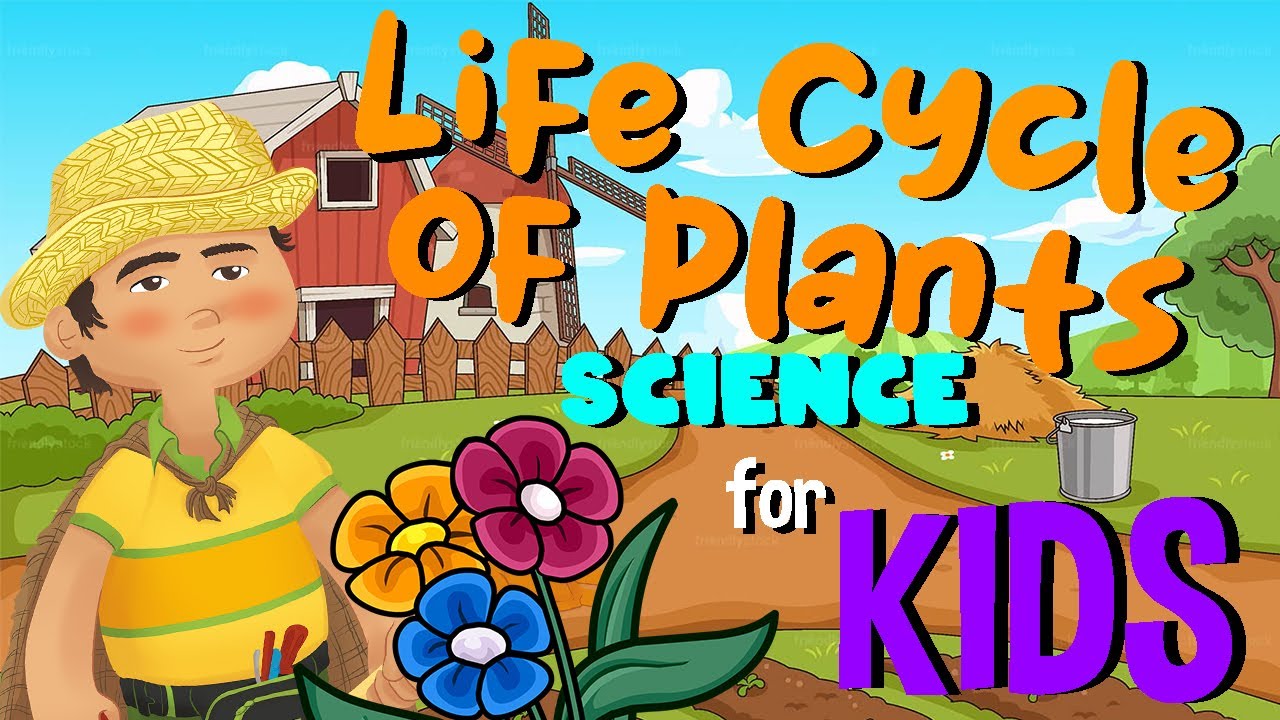Life Cycle of Plants | Science for Kids - YouTube