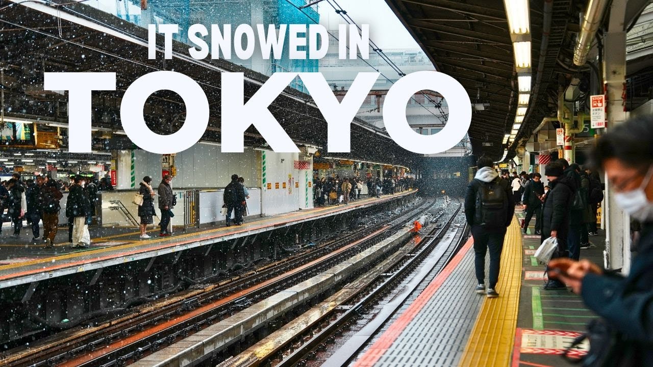 RARE Tokyo Snowfall: A MUST-SEE Winter Experience! - YouTube